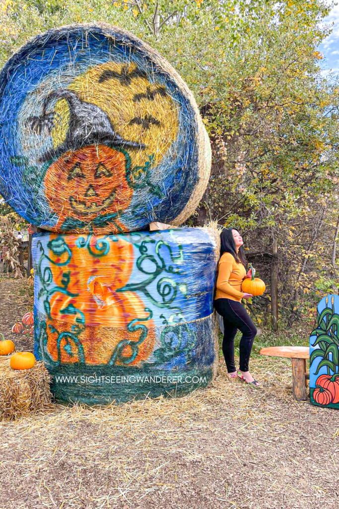 How to Pose for Photos During Fall Season - Sightseeing Wanderer
